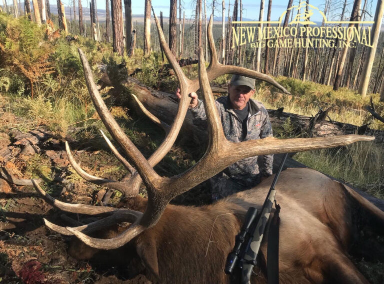 Trophy Gallery - New Mexico Trophy Hunts