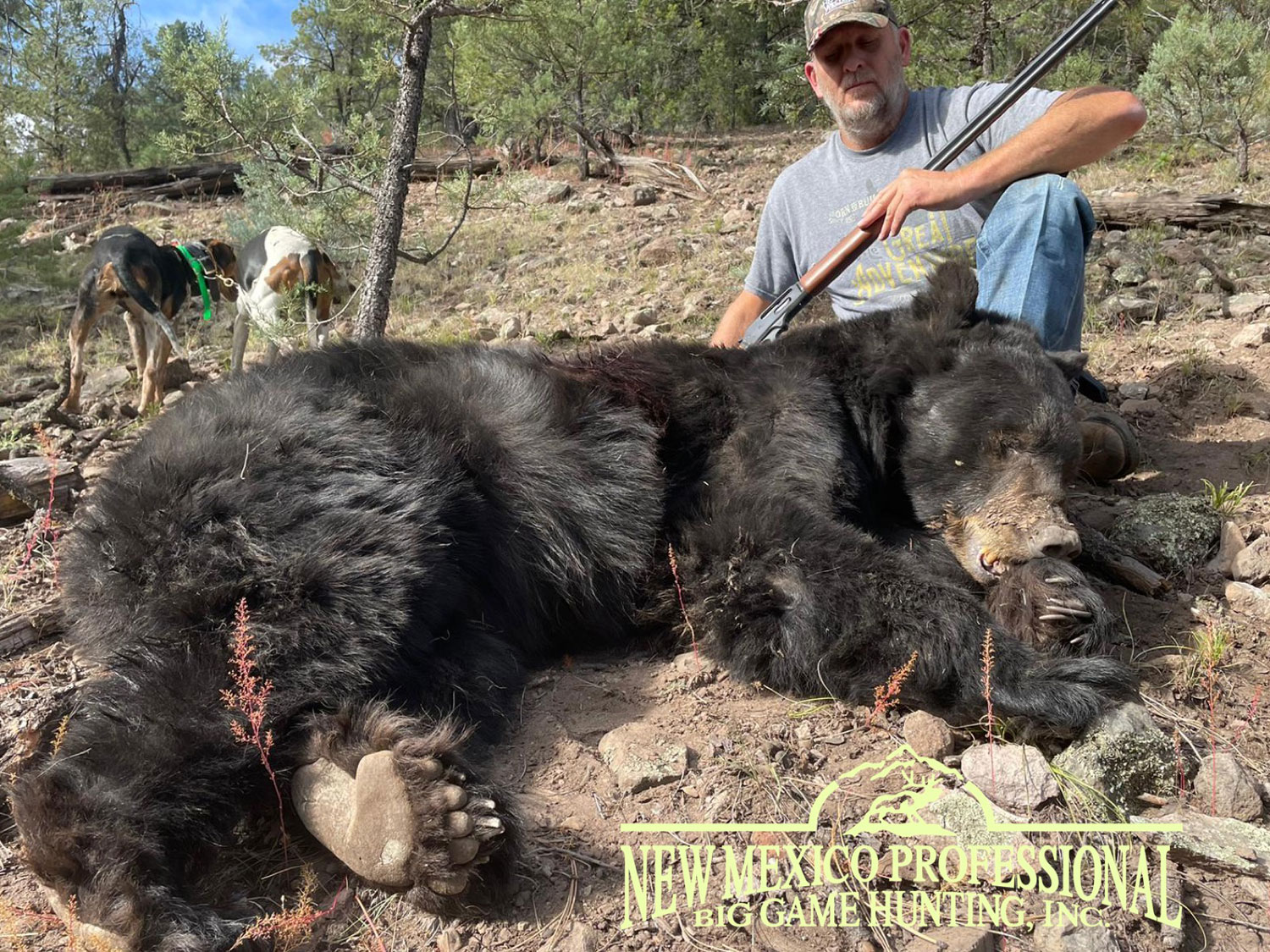 New Mexico Professional Trophy Hunting Outfitters